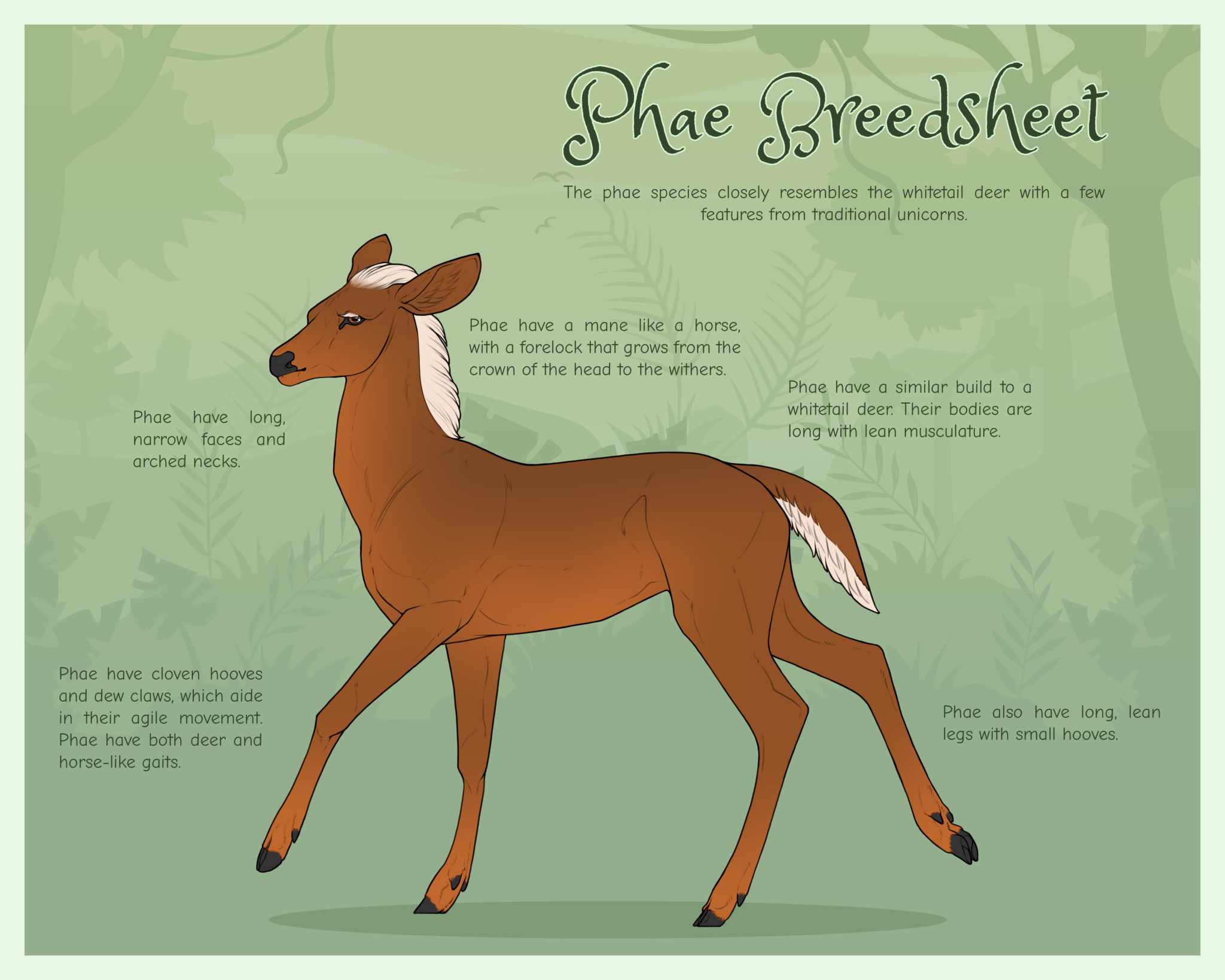 What are Phae? | Realm of Elaphaea